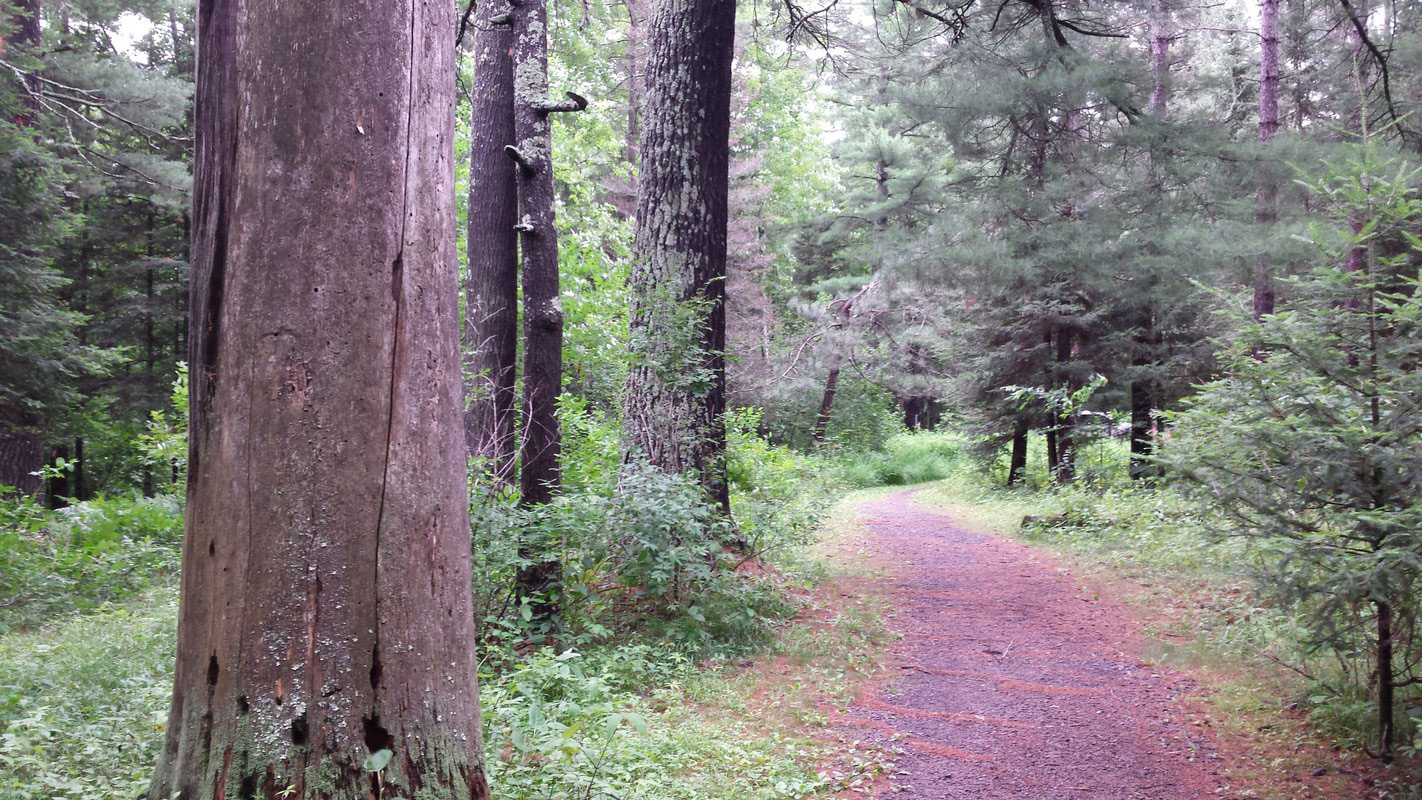 C2: Highway #2 PineTree 3-5 Hour Easiest - Brule River Canoe Rental